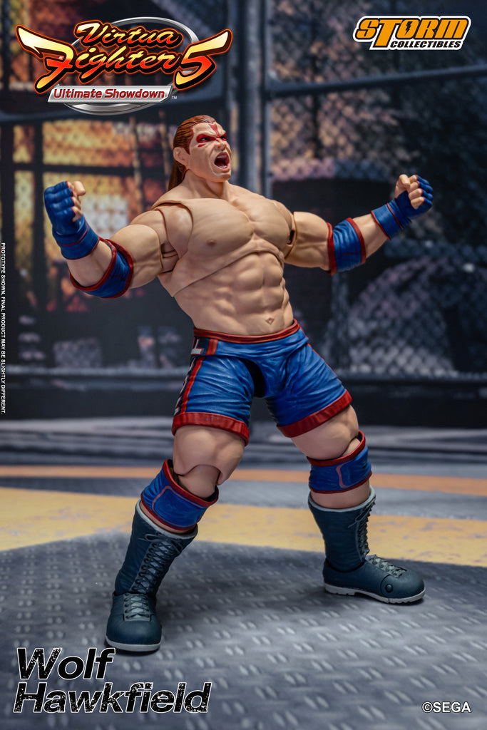 WOLF HAWKFIELD - Virtua Fighter 5 Action Figure – Storm Collectibles