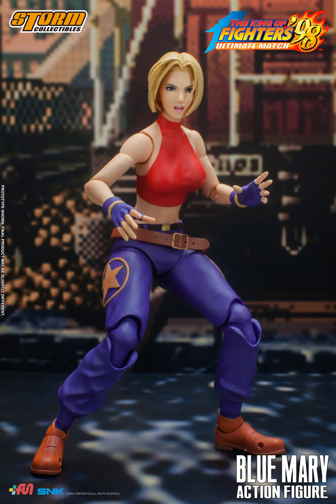 BLUE MARY - KOF'98 UM Action Figure – Storm Collectibles